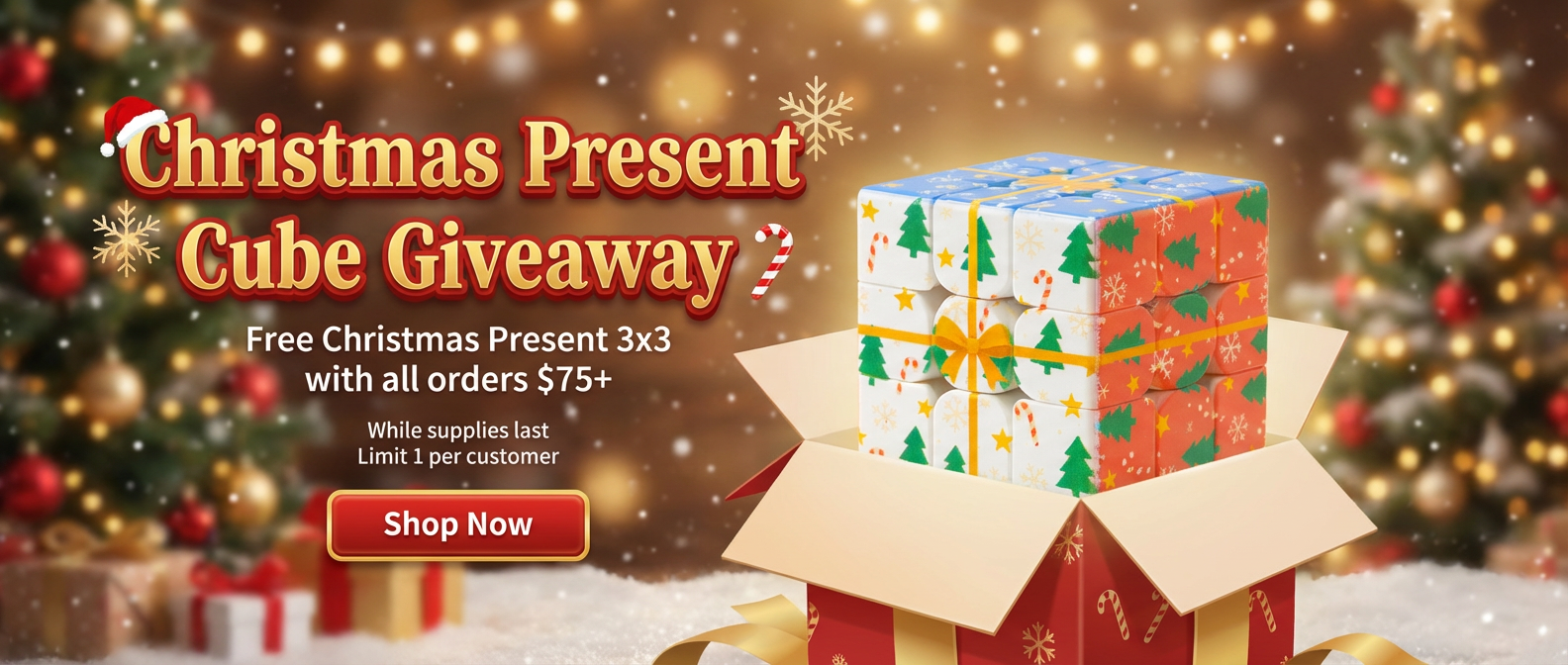 TheCubicle - The Choice of Speedcubing Champions