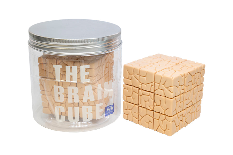 The Brain Cube – TheCubicle